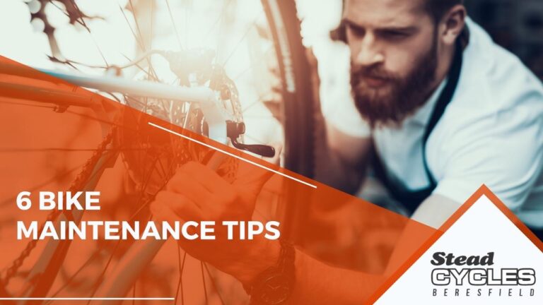 6 Bike Maintenance Tips » Stead Cycles
