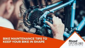 6 Bike Maintenance Tips » Stead Cycles