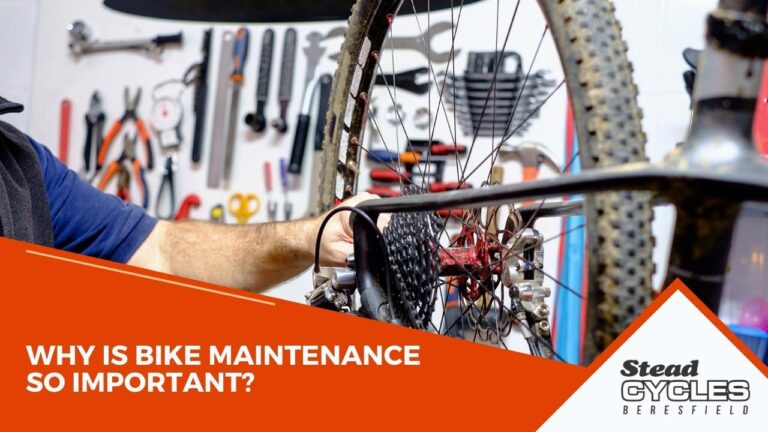 6 Bike Maintenance Tips » Stead Cycles